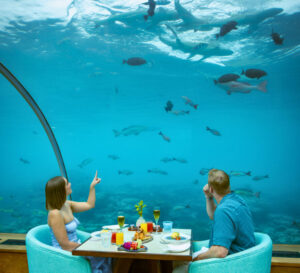 Inside Ithaa Undersea Restaurant: Dining Beneath the Waves - Nolita Harbour